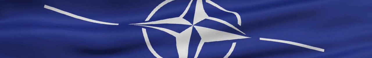 AQAP - Partyard Defense